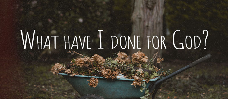 What have I done for God? – Bíblia JFA Offline